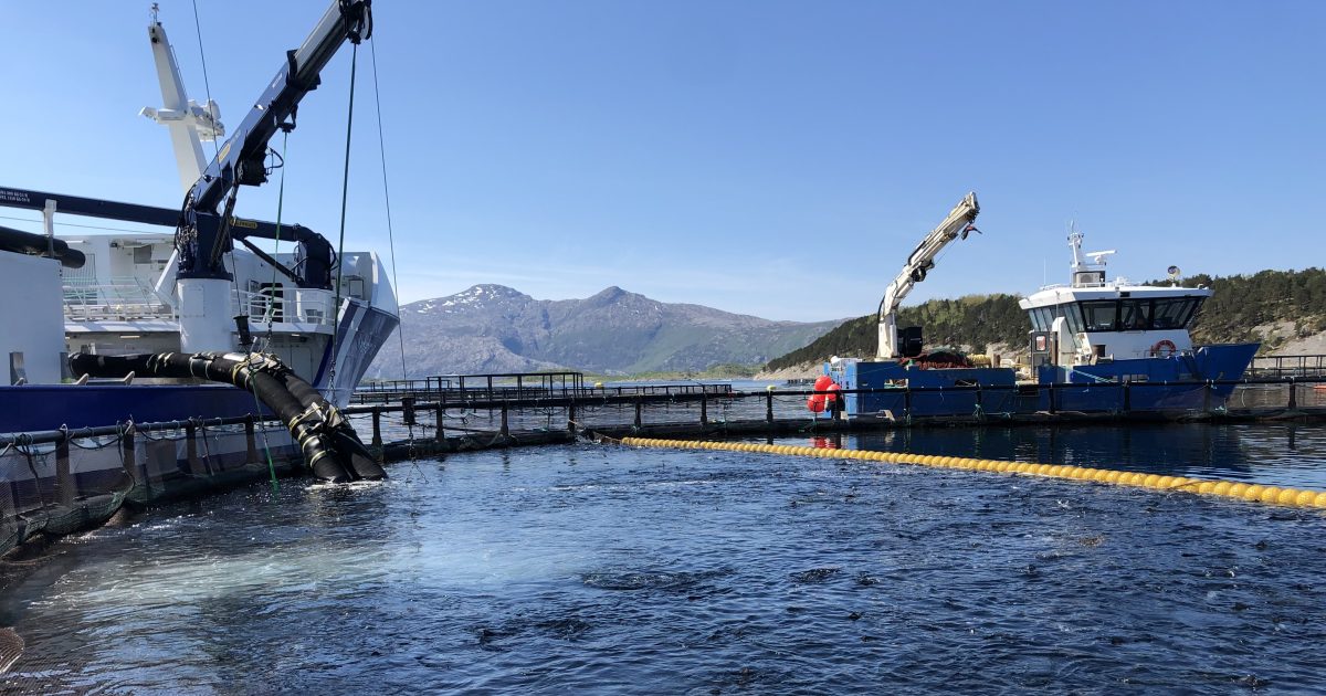 Helhetlig risikostyring i oppdrettsbransjen - Safetec – Norge